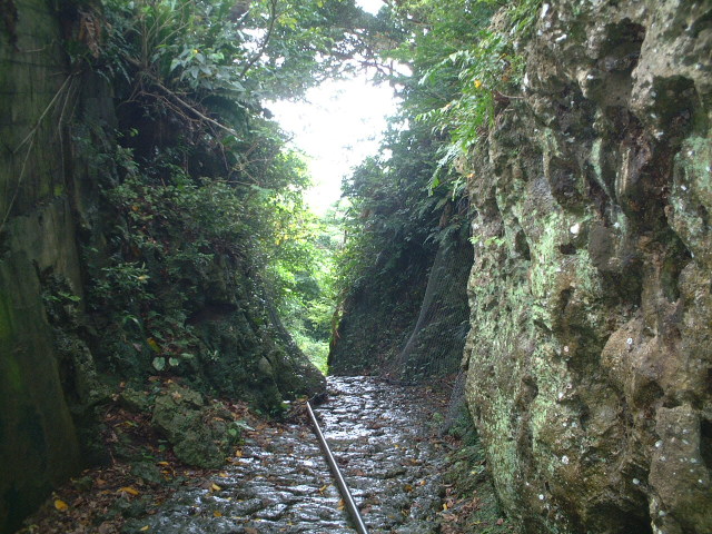 沖縄: 卵油で元気！沖縄ありがとう！